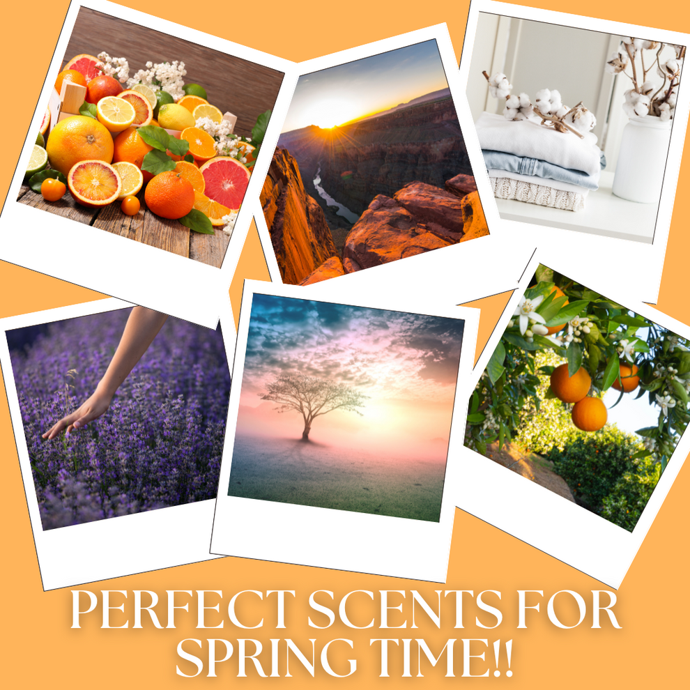 Spring Time Sampler 2025 (Pack Of 6) – Sun Kissed Fragrances
